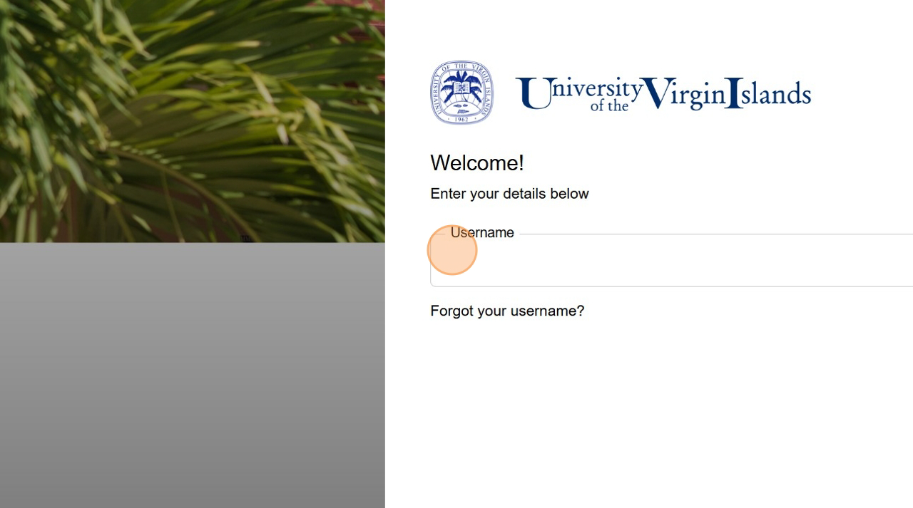 Access UVI Email – University of the Virgin Islands