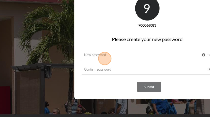 How to Reset Password on MyCampus – University of the Virgin Islands